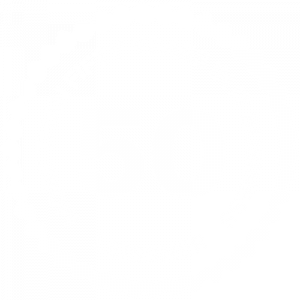 Leissner The Mobile Core Software Specialist